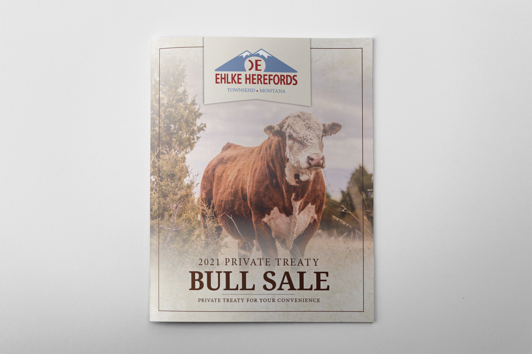 Hereford Cattle For Sale | Hereford Cattle Sale - Ehlke Herefords